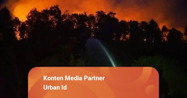 Polisi Tangkap 2 Pembakar Lahan di OKI | kumparan.com